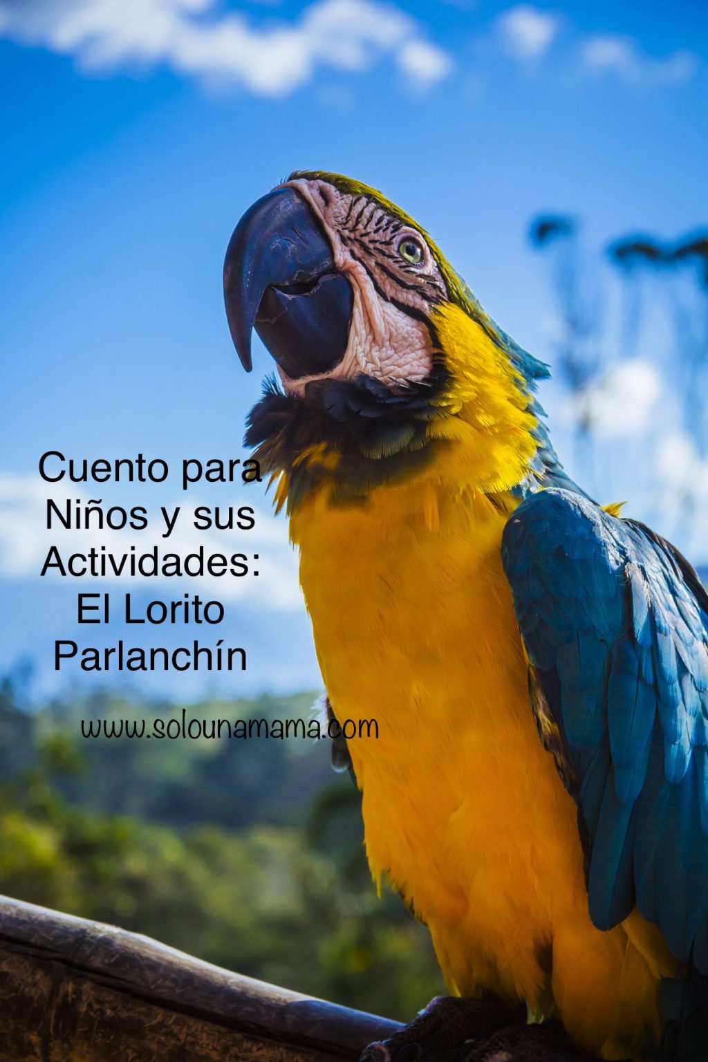 Cuento para Niños y sus Actividades: El Lorito Parlanchín - Sólo Una Mamá